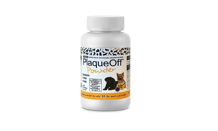 How to Use Plaque off for Dogs? – Pet Help Reviews UK