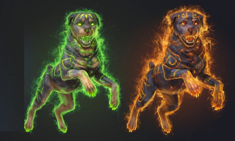 What Do You Call a Magical Dog? – Pet Help Reviews UK