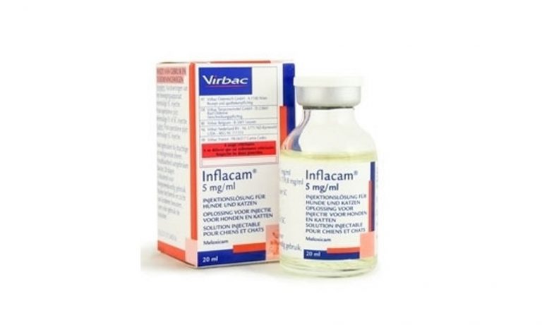 What is Inflacam for Dogs Used for?