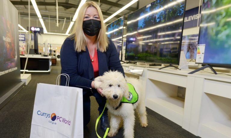 Are Dogs Allowed in Currys Pc World? – Pet Help Reviews UK