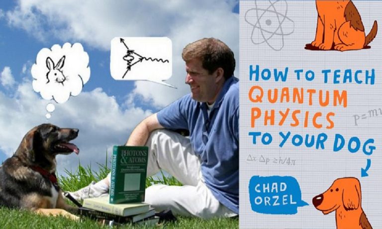 How to Teach Quantum Physics to Your Dog? – Pet Help Reviews UK