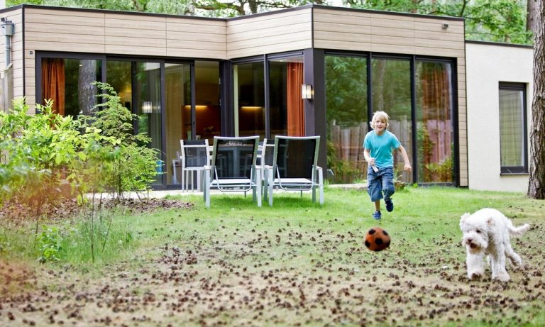 Is Center Parcs Dog Friendly? – Pet Help Reviews UK