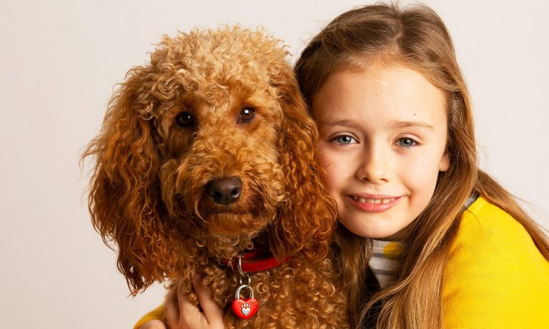 What Breed is Waffle the Wonder Dog? – Pet Help Reviews UK