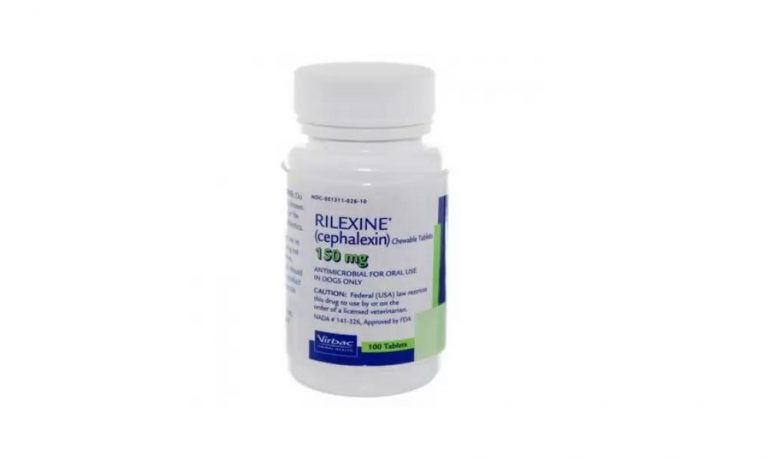 What is Rilexine for Dogs? – Pet Help Reviews UK