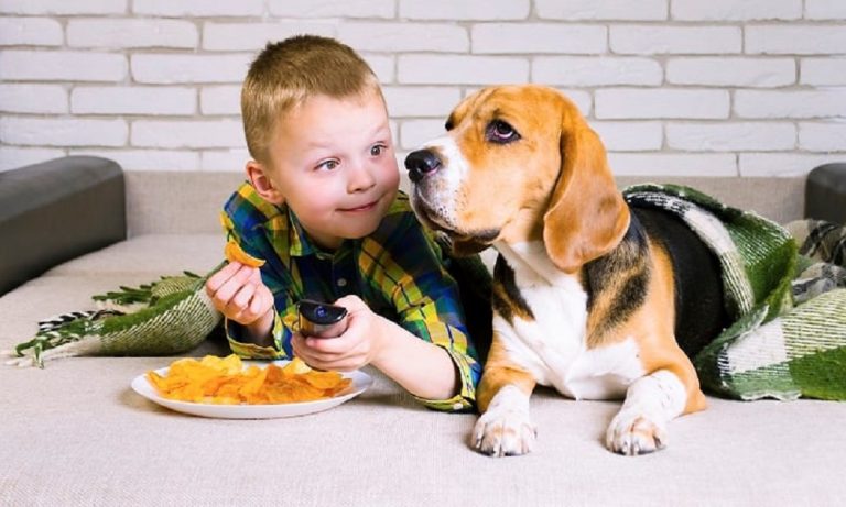 Can Dogs Have Crisps? – Pet Help Reviews UK