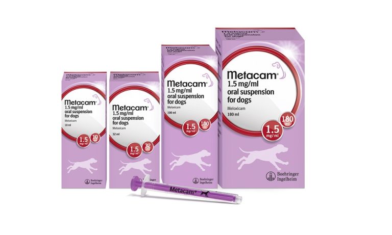 Can I Give My Dog Metacam Twice a Day? – Pet Help Reviews UK