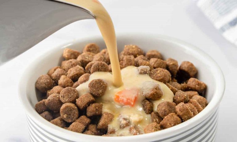 How to Make Dog Gravy? – Pet Help Reviews UK