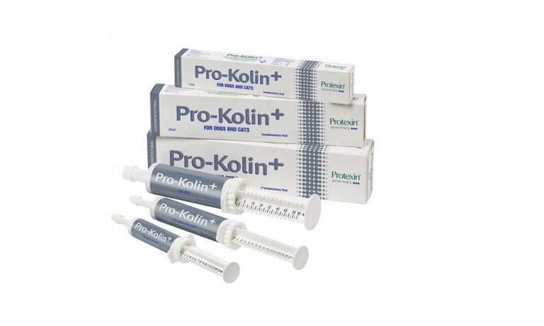 What is Pro Kolin for Dogs? – Pet Help Reviews UK