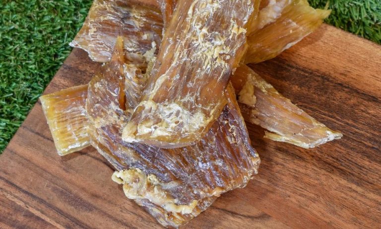 Is Paddywack Safe for Dogs? – Pet Help Reviews UK