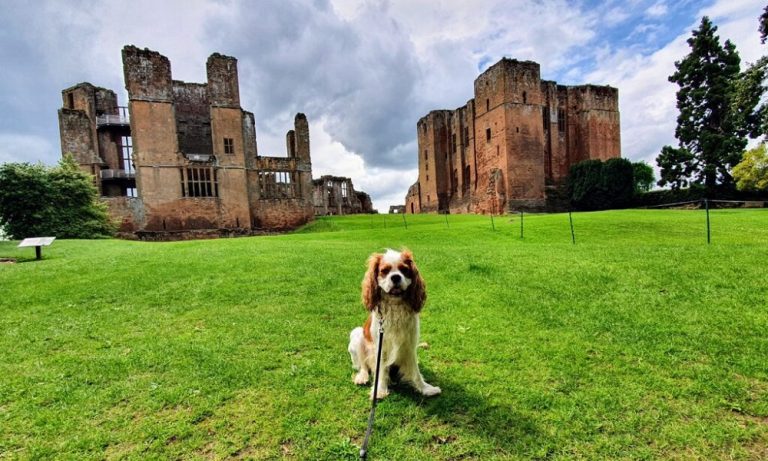 Is Warwick Castle Dog Friendly? – Pet Help Reviews UK