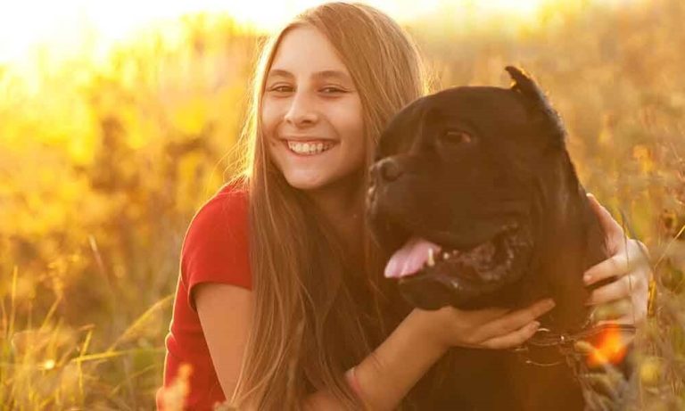 Are Cane Corso Good Family Dogs? – Pet Help Reviews UK