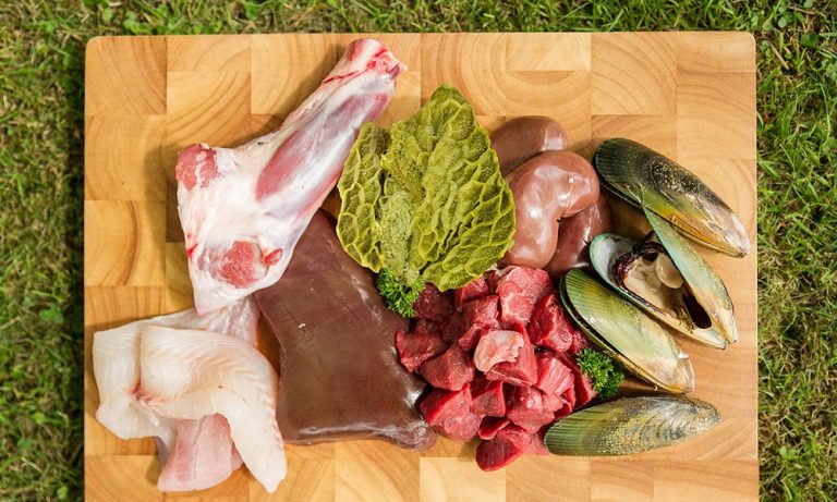 What is Offal for Dogs – Pet Help Reviews UK