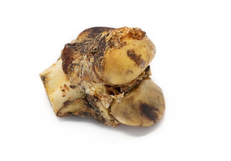 Are Knuckle Bones Safe for Dogs? – Pet Help Reviews UK