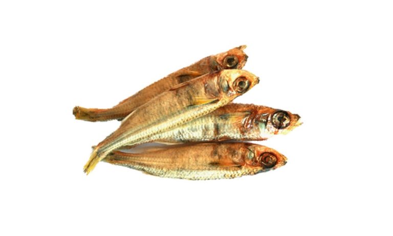 Are Pilchards Good for Dogs? – Pet Help Reviews UK