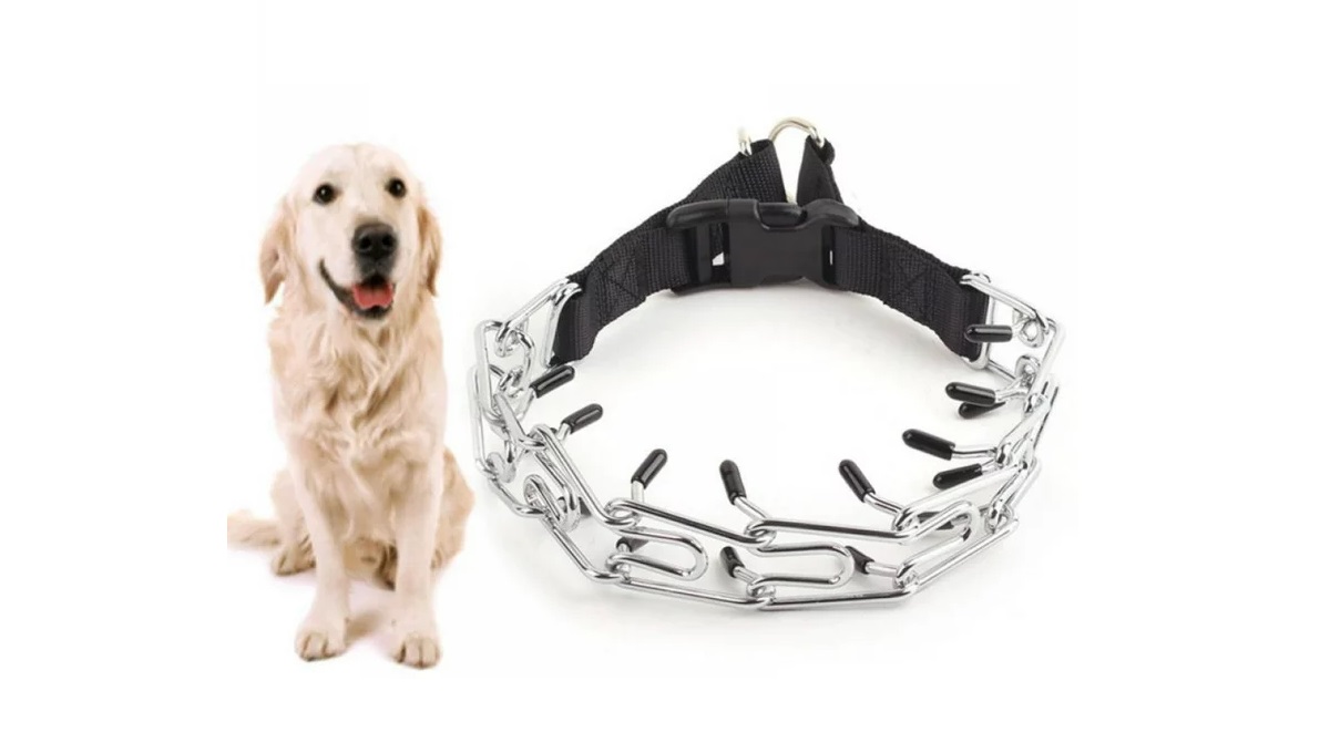 10 Best Dog Pinch Collars UK 2024 – Pet Help Reviews UK