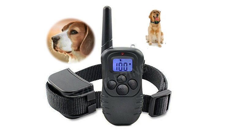 10 Best Electric Dog Collars UK 2024 – Pet Help Reviews UK